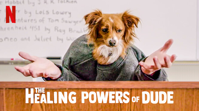 The Healing Powers of Dude (2020) - Netflix | Flixable